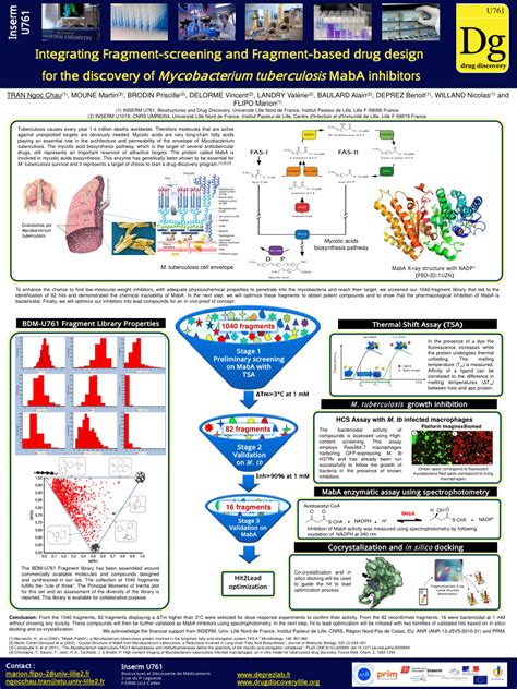 Pdf Integrating Fragment Screening And Fragment Based Drug Design For The Discovery Of