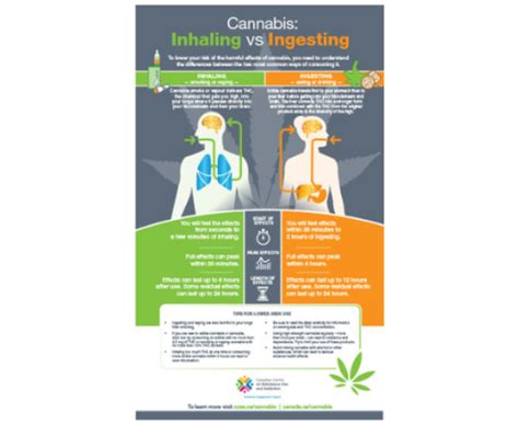 Research Cannabis Canadian Centre On Substance Use And Addiction