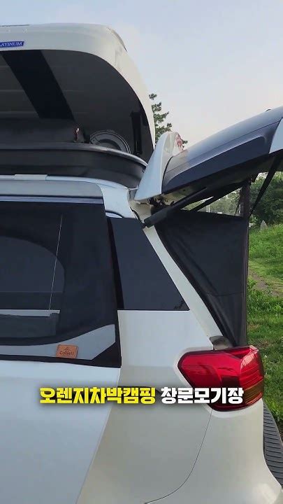 내돈내산🔥카니발 여름 차박 필수 아이템 창문모기장 And 트렁크모기장 추천 부피 큰 꼬리 텐트여 이젠 안녕~ Youtube