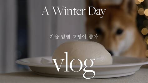 Eng 정갈의 소소한 겨울 Vlog 겨울밤엔 호빵이 좋아 트리꾸미기 눈 오는 아침 짜장 즉석 떡볶이 따끈한 집밥 루다and루기 오너먼트 쇼핑