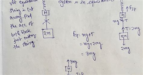 Update ANS Class 11 PHYSICS STRING SPRING TENSION FORCE NLM QUESTION