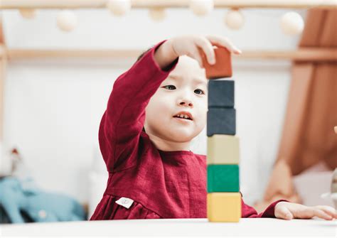 Switching Tasks Bibic