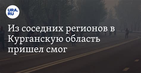 Из соседних регионов в Курганскую область пришел смог