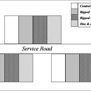 Field Plot Block Design Consisted Of Four Treatments Per Block Each Download Scientific