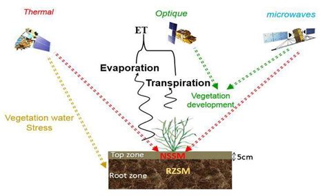 The Ability Of Multi Spectral Remote Sensing Data To Characterize The