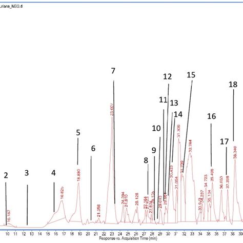 The Hplc Esi Qtof Ms Ms Total Ion Current Chromatogram Of The 70 V V Download Scientific