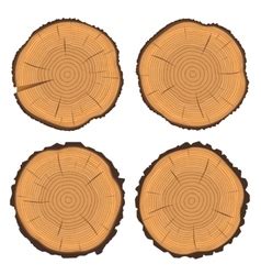 Tree Rings And Saw Cut Tree Trunk Royalty Free Vector Image