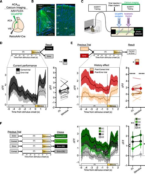 Figure 1 From Post Error Recruitment Of Frontal Sensory Cortical