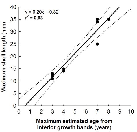 Linear Regression Showing A Strong Positive Relationship Between