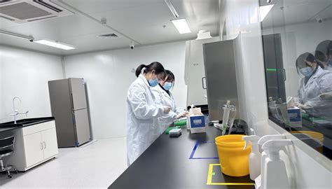 Healthybiotech Real Time Pcr Gene Mutation Detection Kit Jak2 V617f Exton12 Hematology Tumor