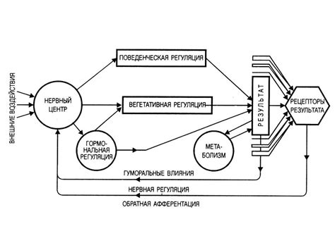 Регуляция физиологических функций организма презентация онлайн