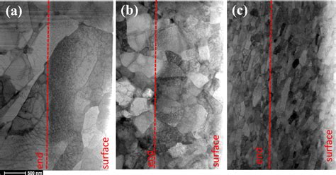 Cross Section Stem Micrographs Showing The Microstructure Of Fg A