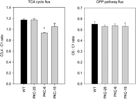 Measurement Of Flux Through The Tca Cycle And Opp Pathway In Wild Type