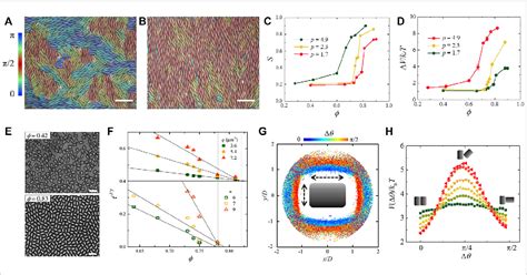 2d Phase Behaviors Of Colloidal Ellipsoids And Rods Semantic Scholar