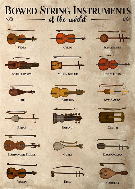 Bowed String Instruments Of The World Poster Picture Metal Print