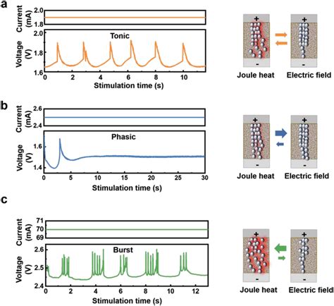 Experimental Demonstration Of Tonic Phasic And Burst Firing Patterns Download Scientific