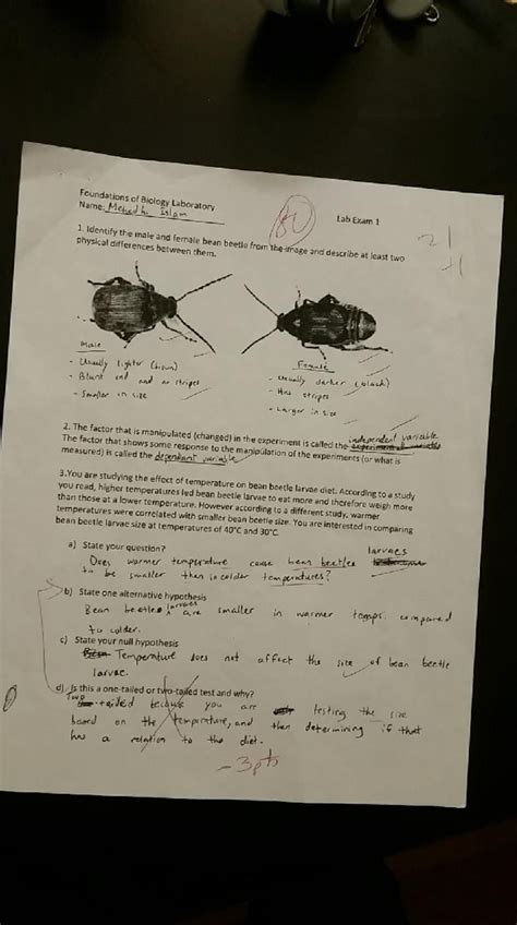 Bio Lab Exam Fall Exam BIO Studocu