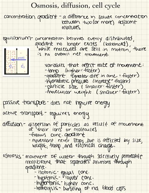 Osmosis Diffusion Cell Cycle Osmosis Diffusion Cell Cycle