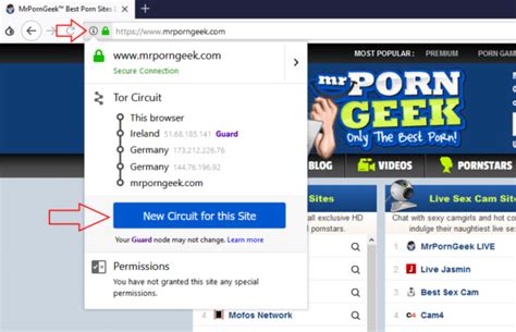 Guide How To Bypass The UK S Internet Porn Filter