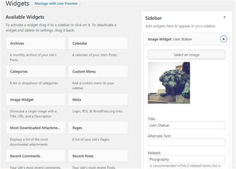 8 Essential Wordpress Widgets To Supercharge Your Website Nimbus Themes