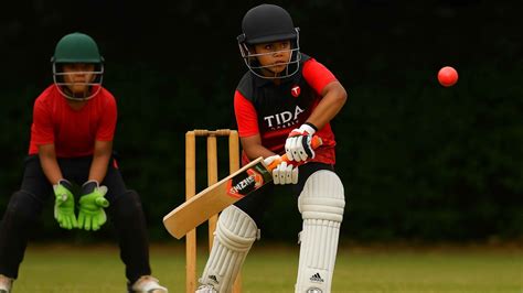 Best Cricket Academy In Punjab Tida Cricket Experts Tida Sports