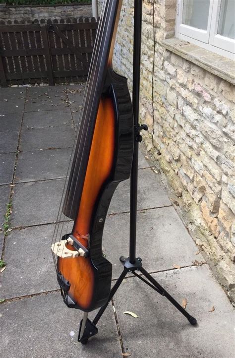 Palatino Ve 550 Electric Upright Bass Black At Jennie Wilson Blog