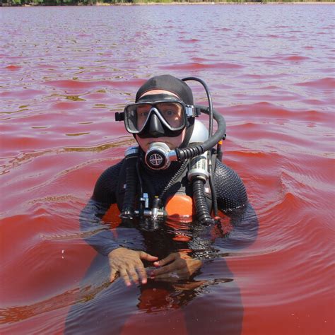 Red Lake Image Created By Antonoly Maia Tensor Art