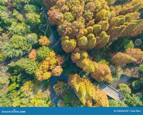 Autumn Scenery In Wuhan Botanical Garden Hubei China Stock Image Image Of Panoramic Park
