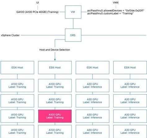Vsphere Ml Accelerator Spectrum Deep Dive Using Dynamic Directpath Io Passthrough With Vms