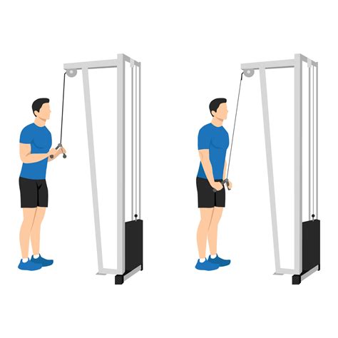 Man Doing Cable Tricep Pull Down Exercise Flat Vector Illustration