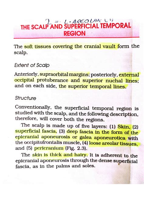 Solution The Scalp And Superficial Temporal Region Studypool