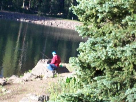 Chester Bechtol Obituary Death Notice And Service Information