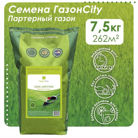 Газонные травы ГазонCity 100% Мятлик_белый_зеленый_1_Мятлик луговой ...