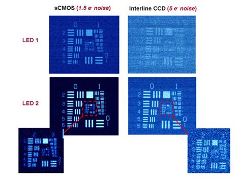 Scmos Cameras For Microscopes A Break Through Technology