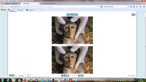 Resolvido Exibir Imagem De Banco De Dados Programação Scriptcase
