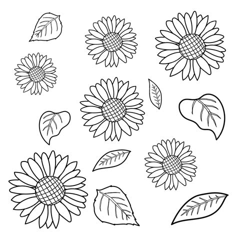 Realistic Sunflower Outline Png Vector Psd And Clipart With