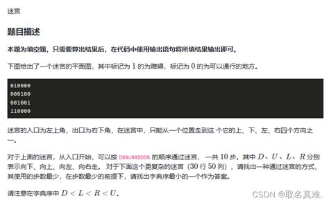 蓝桥杯（迷宫，c）蓝桥杯 走迷宫c Csdn博客