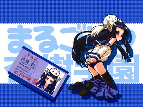 Hakubi Tomoe Danbooru