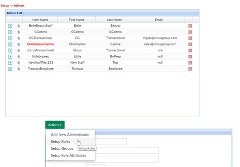 Setting Up Or Editing Roles