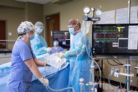 Cardiovascular Perfusion Program Receives Initial Accreditation Lipscomb University