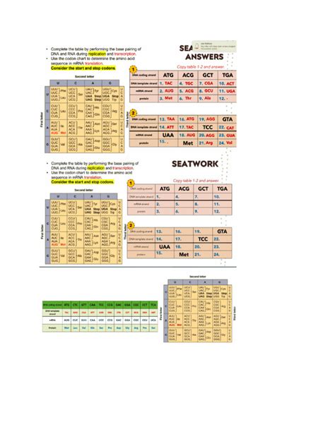 Genetic Coding Pdf