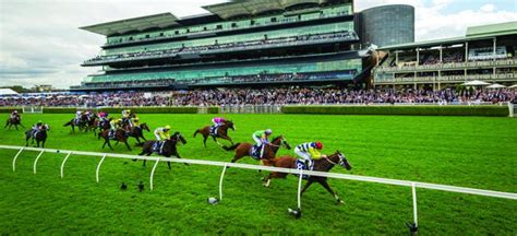 Getting The Best Odds Part 5 Dynamic Odds Champion Bets