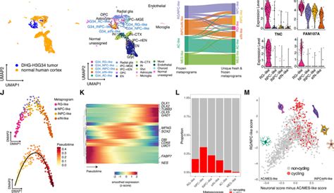 单细胞多数据集整合和去除批次效应教程 知乎