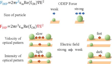 Figure 2 From Sorting Of Extracellular Vesicles By Using Optically