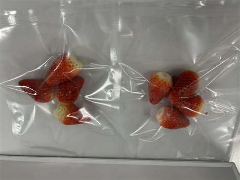 【食品開発】急速冷凍実験レポート｜いちご編 株式会社スパック