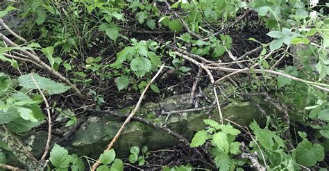 Ozerna Jewish Cemetery Esjf Surveys