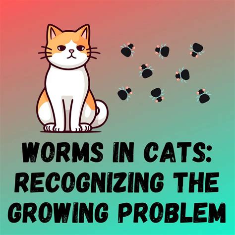 Worms In Cats Recognizing The Growing Problem