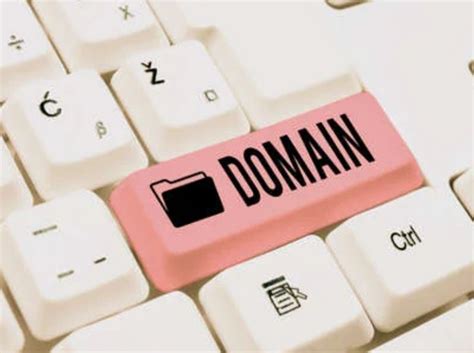 Importance Of Domain Check For Businesses Benefits Of Privilege