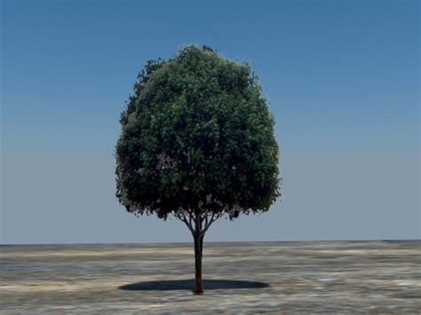 3ds Max Tutorial 3ds Max Tutorial How To Make A Tree Using Opacity Map