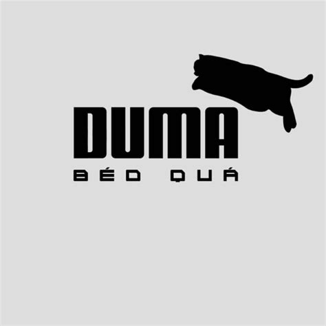 Nguyễn Phi Long Viblo